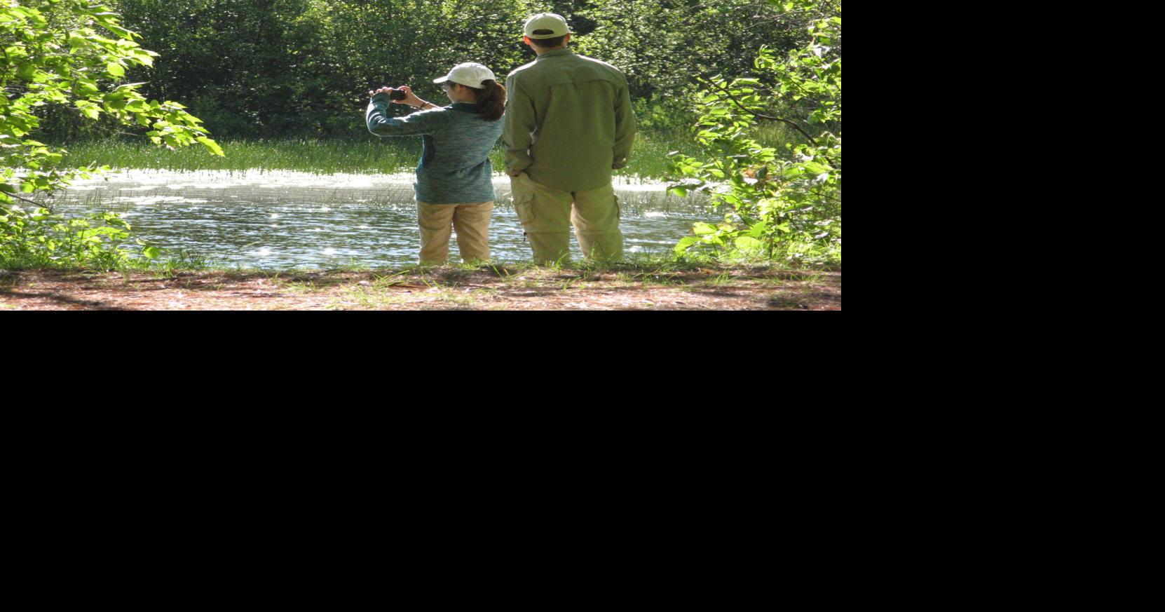 Natural Connections: A kid’s eye view of our natural world | Free | apg ...
