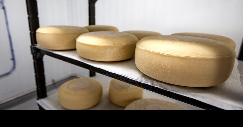 A better whey? Researcher wants to convert cheese byproduct into eco ...