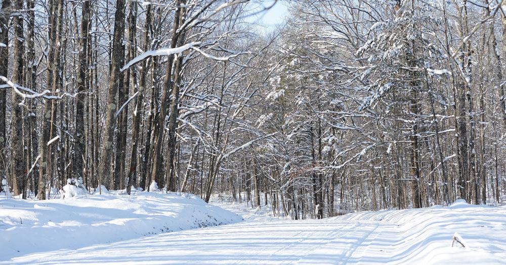 Birkie Trail closed this weekend | Outdoors | apg-wi.com