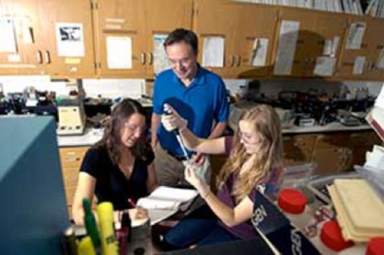 Biology researchers study deer ticks and the bacteria that causes Lyme ...