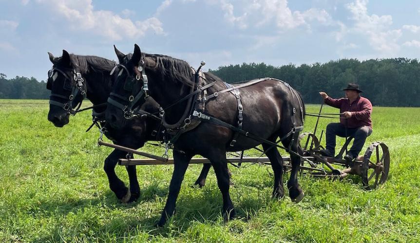 Old-time threshing bee marks its 40th year | News | apg-wi.com