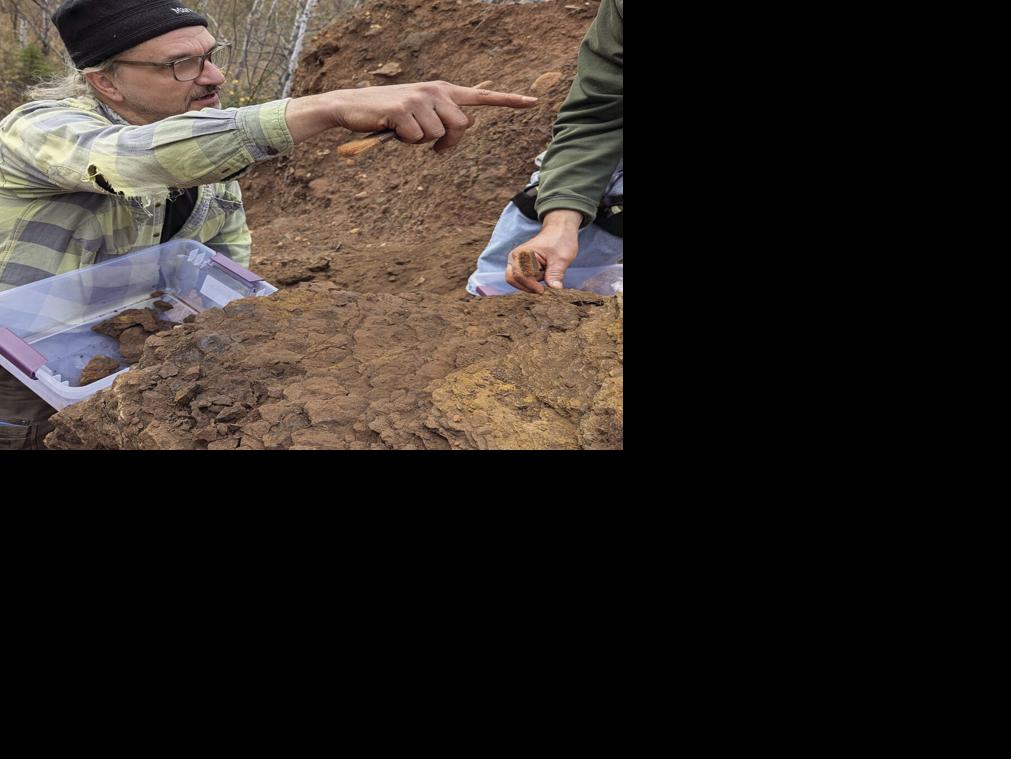 Hill Annex offers fossil digs for volunteers in neighboring Minnesota ...