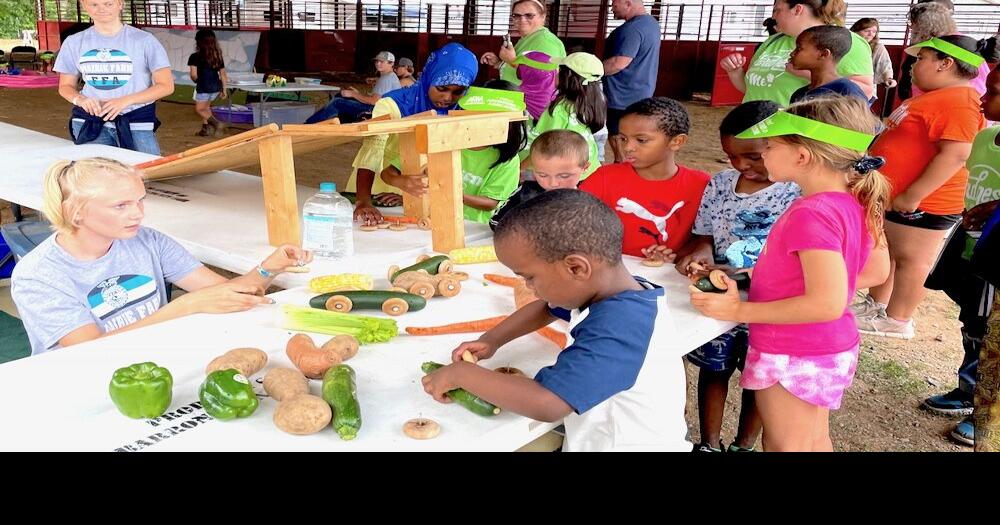 Kids Day at the Barron County Fair | Media | apg-wi.com