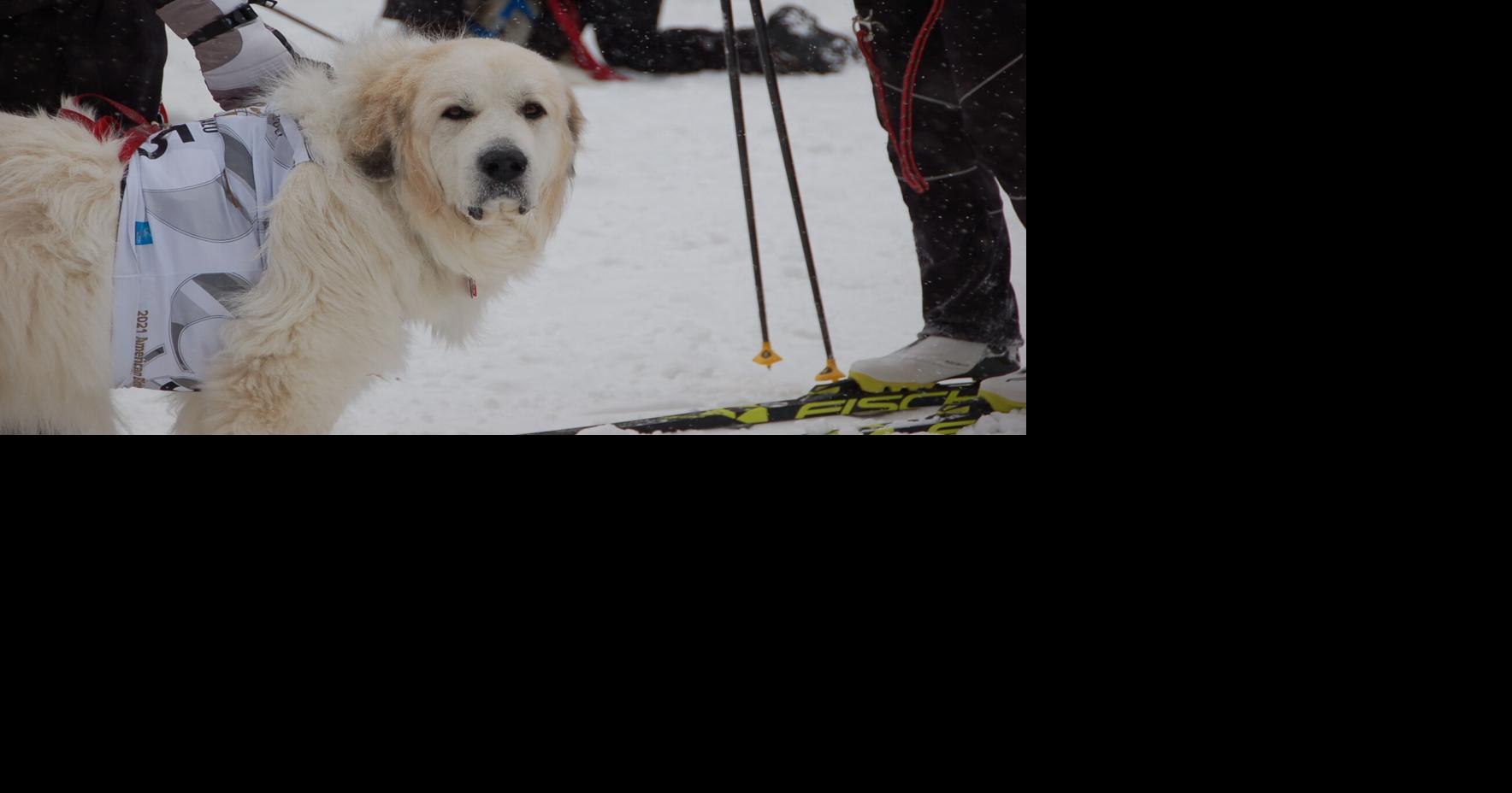 Oh what a week it was | Subscriber | apg-wi.com