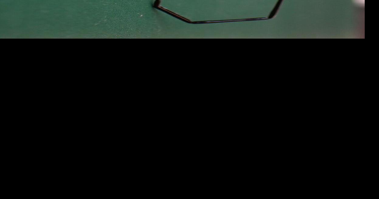 Scary but stingless: This wasp controls pests | Outdoors | apg-wi.com