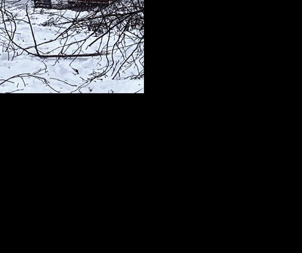 Storm damage forces closure of county snowmobile trails | Subscriber ...