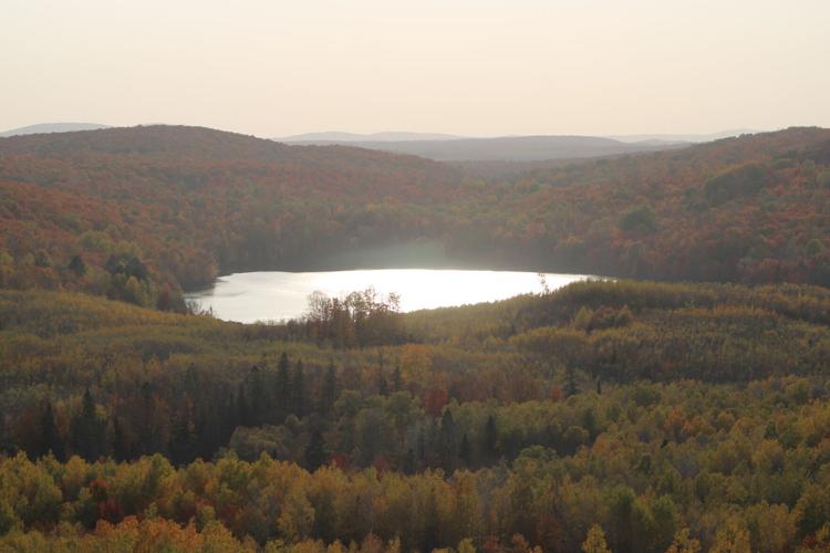 FALL LEAVES TOUR | | apg-wi.com