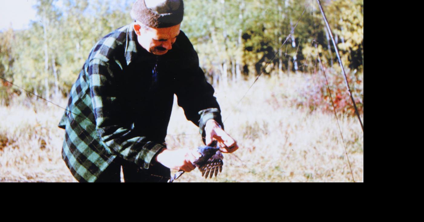 Spooner man may be honored in Falconry Hall of Fame | Subscriber | apg ...