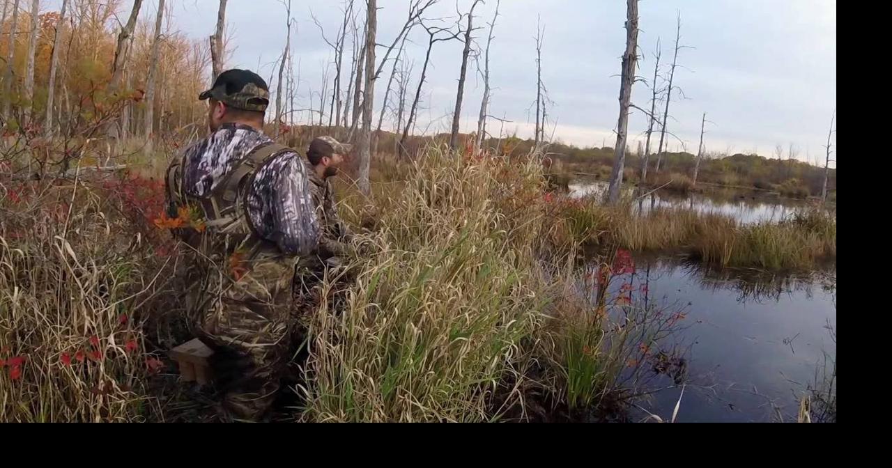 Waterfowl hunters can help stop spread of aquatic invasive species ...