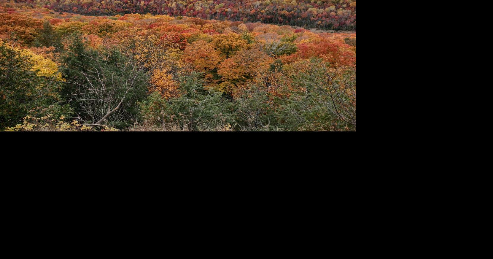 A beautiful orange day | Outdoors | apg-wi.com