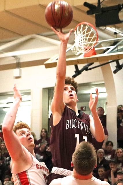 Birchwood Bobcats stopped at Sectionals after a big season | Photos ...