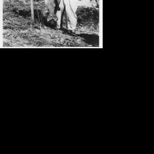 Cal Johnson’s 1947 world record musky creates a new splash | News | apg ...