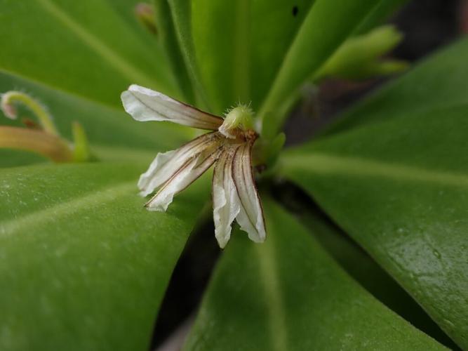 Coming and going on wings | Outdoors | apg-wi.com