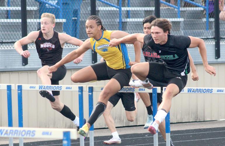 5 Rice Lake track and field athletes qualify for state meet | News ...
