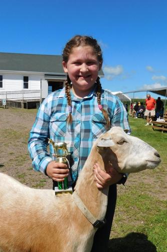 Winners in Spirit-Hill-Ogema 4-H Fair named | Local | apg-wi.com