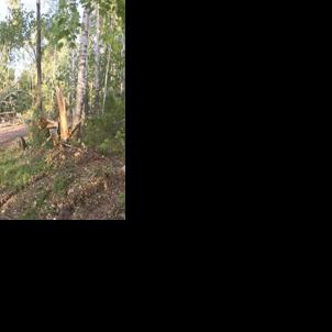 Birch Grove Campground gets a makeover | Subscriber | apg-wi.com