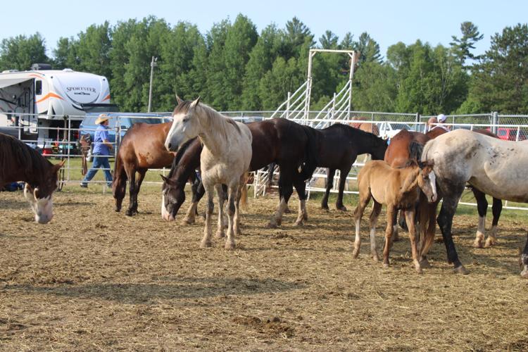 Records fall at Price County Rodeo | Price County Review | apg-wi.com