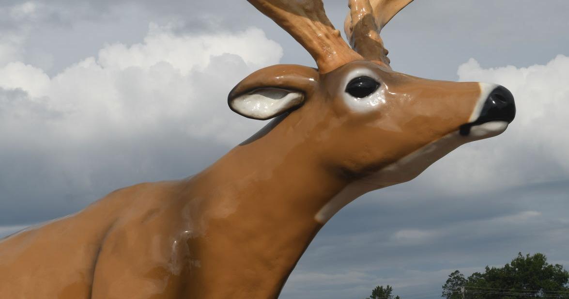 Jordan Buck Day is Saturday in Danbury | Outdoors | apg-wi.com