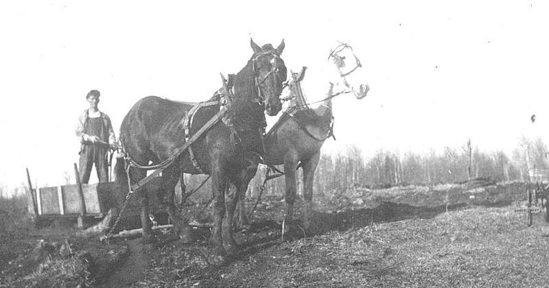 Pokela family farm recognized as a Century Farm | Subscriber | apg-wi.com