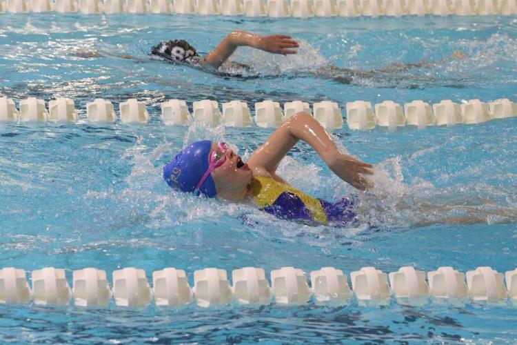 Youth swimming: Otters claim 22 individual titles, four relays at home ...