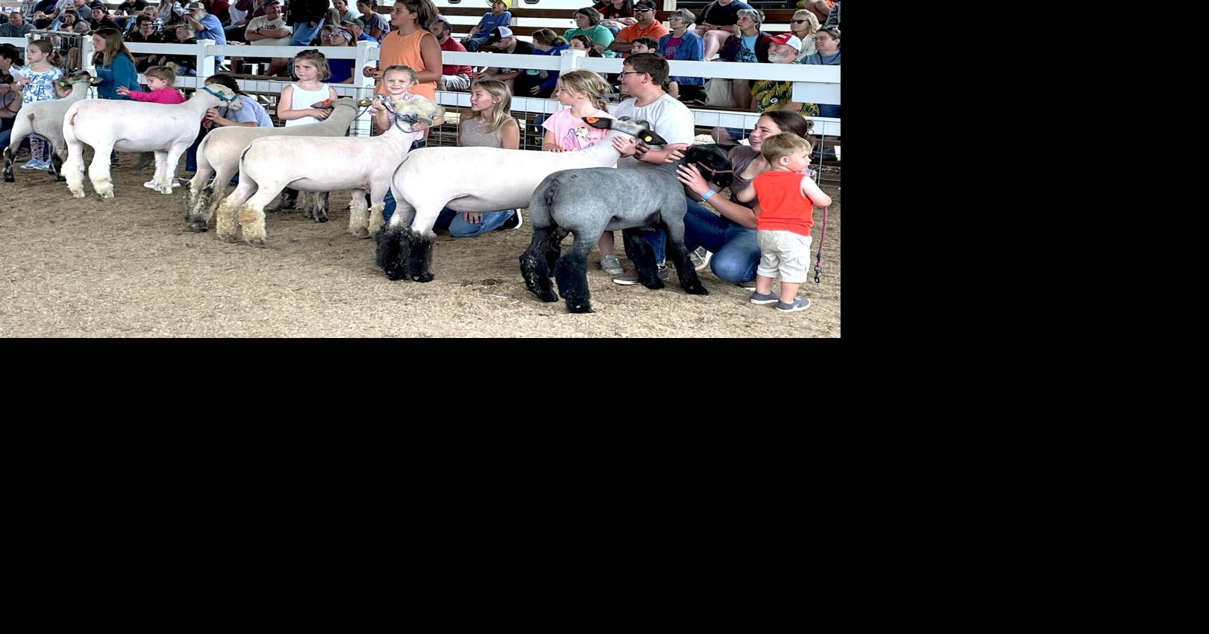 Fair manager called the 148th Barron County Fair the definition of ...