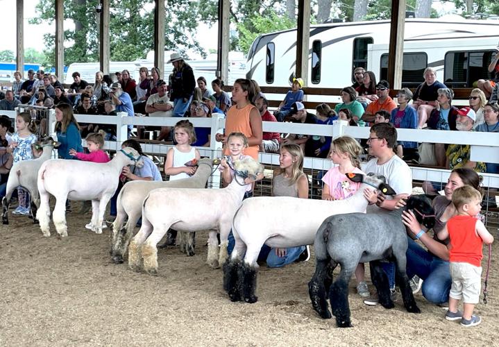 Fair manager called the 148th Barron County Fair the definition of ...
