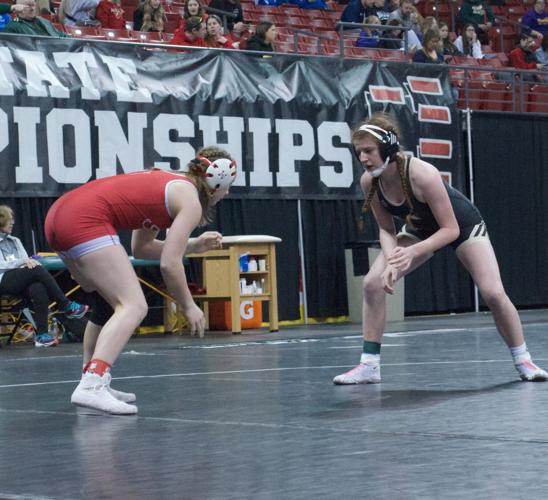 Hurricane wrestlers finish season at state meet | Sawyer County Record ...