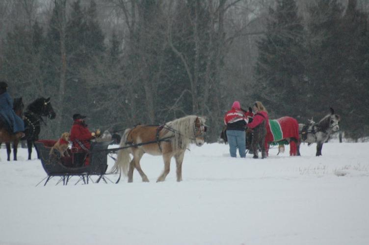 30th Annual Northwoods Sleigh and Cutter Rally | News | apg-wi.com