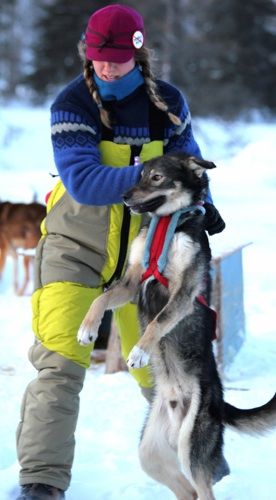 Mushers race against the mine | Outdoors | apg-wi.com