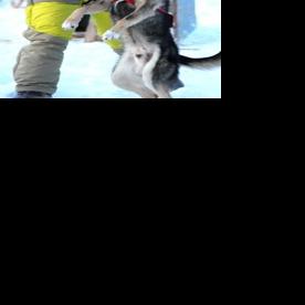 Mushers race against the mine | Outdoors | apg-wi.com