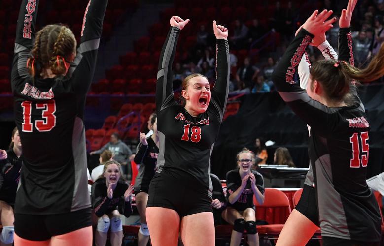 Prentice bows out of state tournament | Price County Review | apg-wi.com