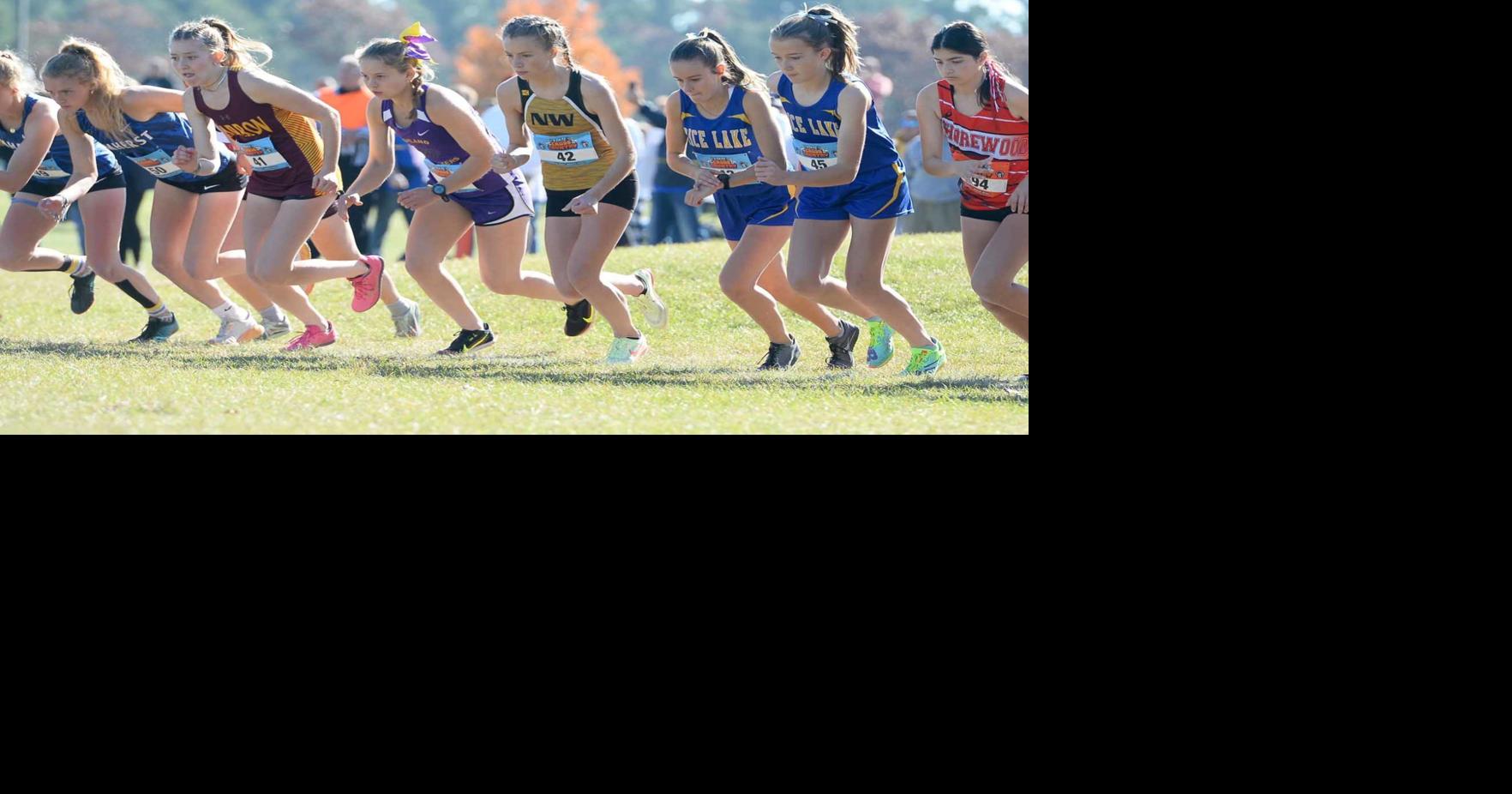 Prep cross country: Rice Lake's Drost 55th, Holthaus 72nd at state meet ...