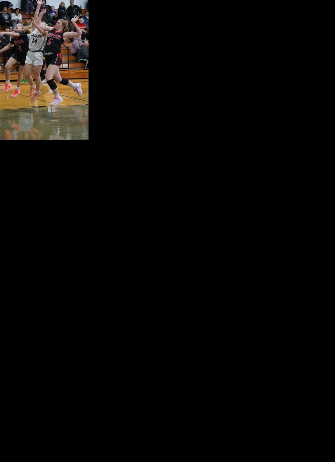 Chequamegon girls defeat Winter | Price County Review | apg-wi.com