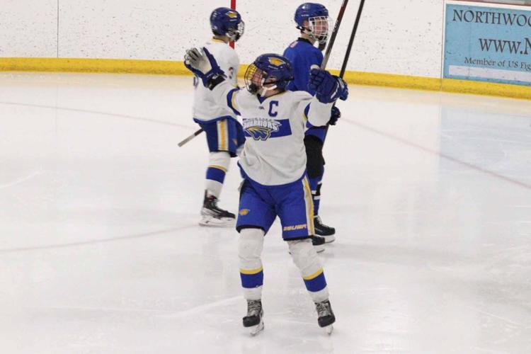 Warrior wrap-up (2-15): Boys hockey rolls in playoff win; Sheplee sets ...