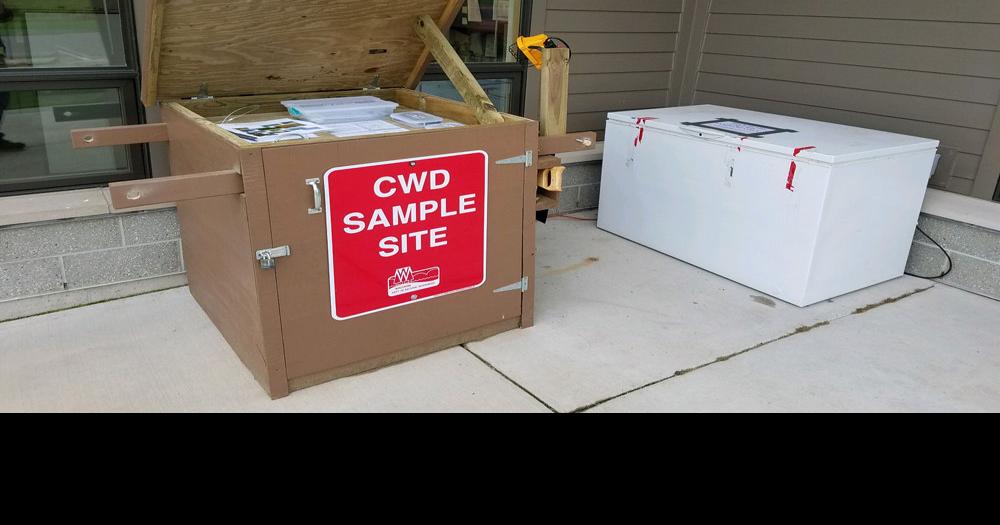 Price County hunters asked to submit deer samples for CWD testing ...
