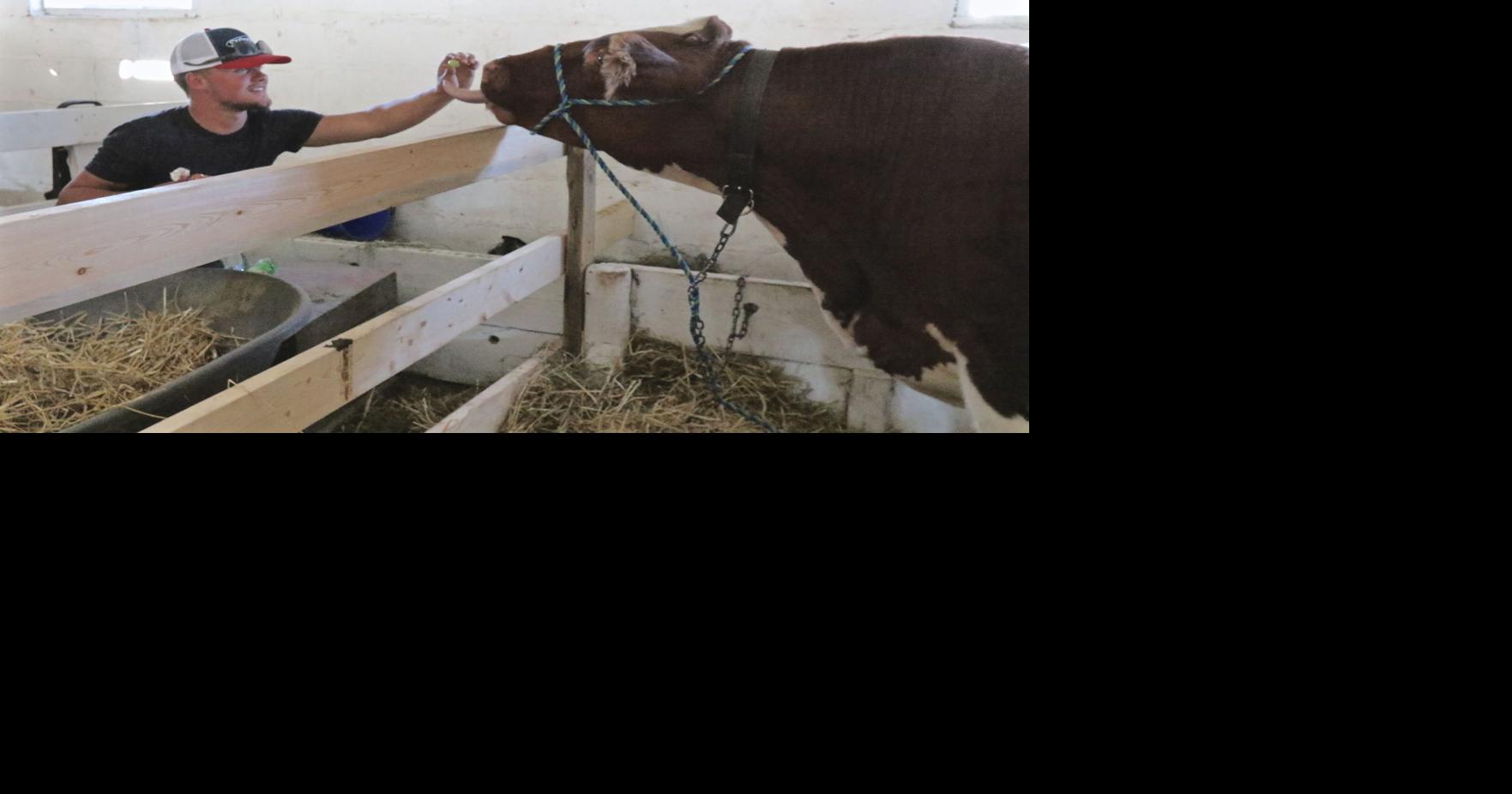 Bayfield County Fair in pictures | Subscriber | apg-wi.com