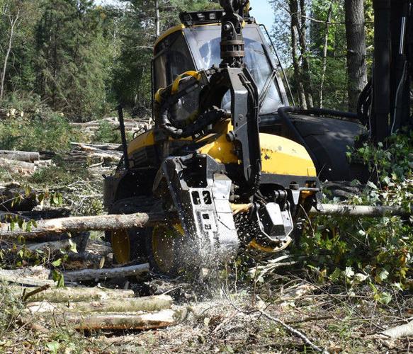 Paper mill closures leave Northwoods loggers struggling | Local | apg ...