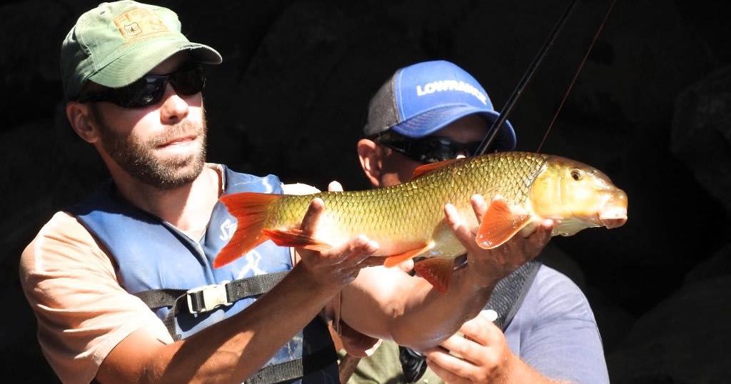 Natural Connections: Doing some high-tech fishing | Free | apg-wi.com