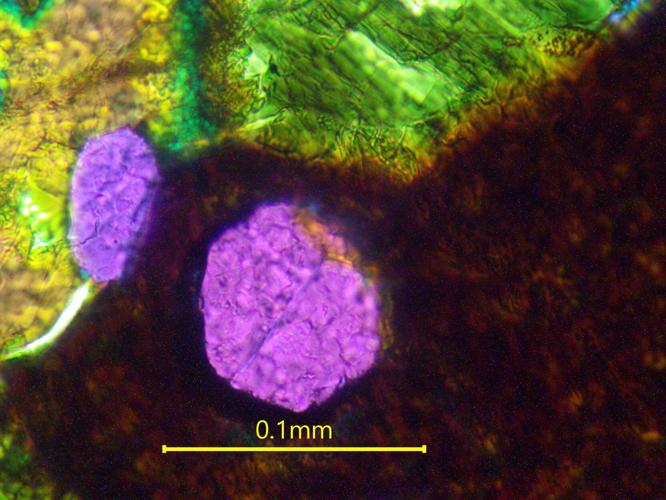 Natural Connections: Microscopic minerals | Price County Review | apg ...