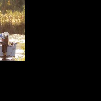 Volunteers to monitor, educate on aquatic invasive species at boat ...