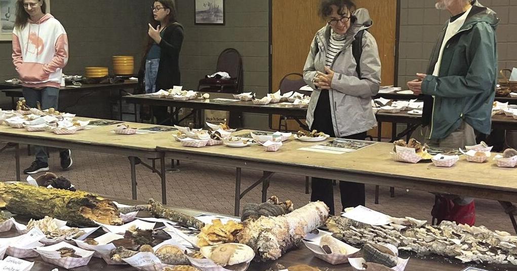 Mushroom enthusiasts find mycophile heaven near Cable | Subscriber ...