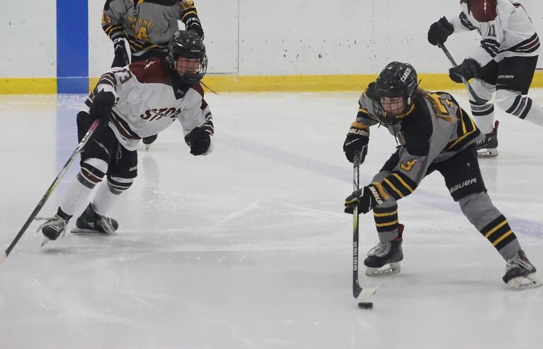 Girls hockey season ends with OT loss in sectional championship ...