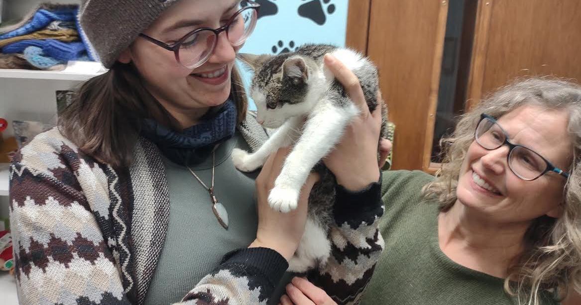 Christmas kitten rescued at Visitor Center; Snowflake saved from winter ...