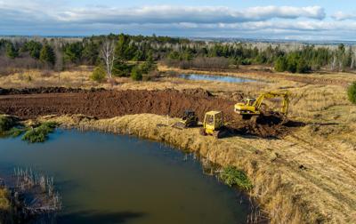 Wetland restoration project benefits water quality near Ashland ...