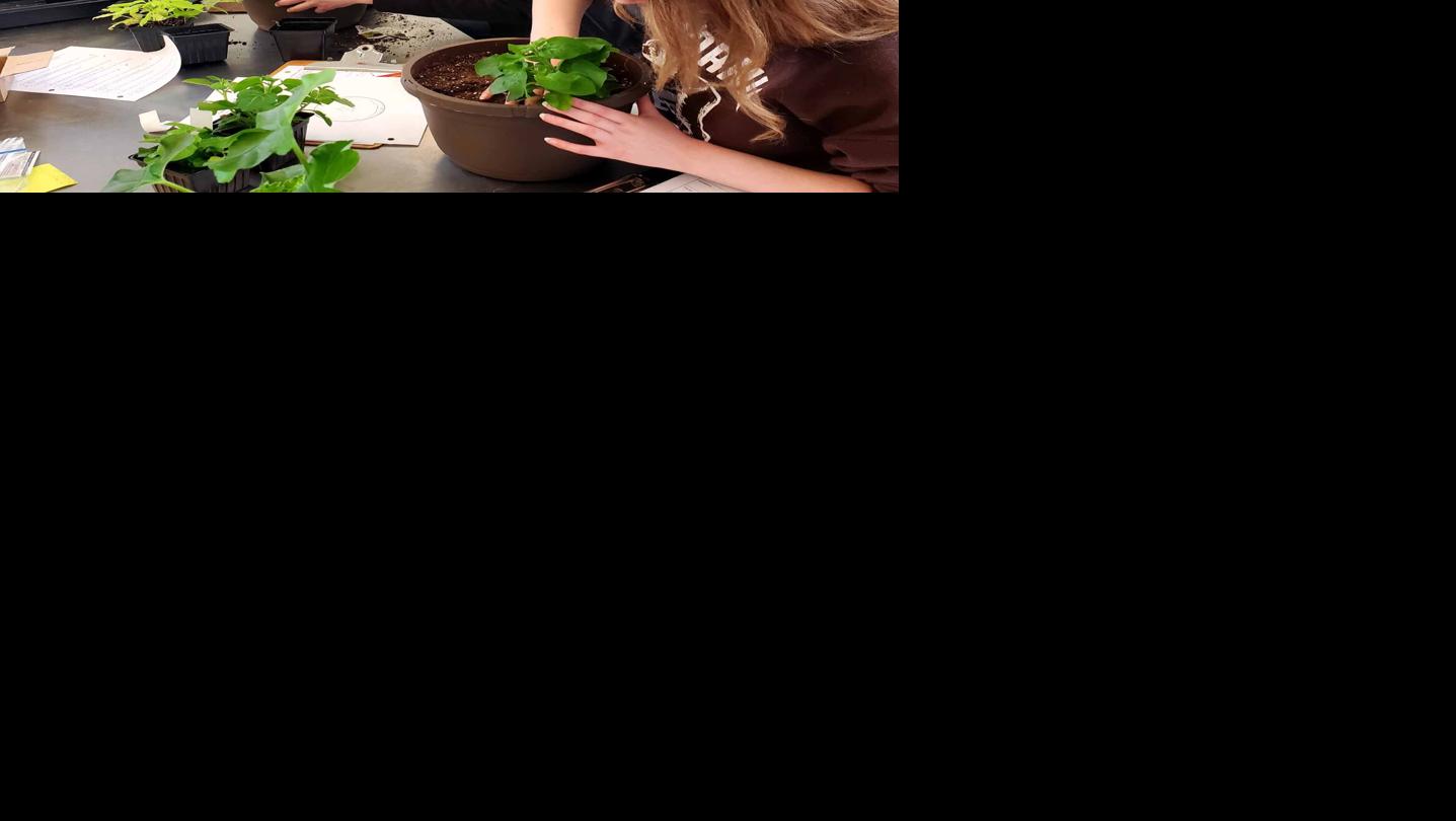 Horticulture class invites public to plant sale at high school ...