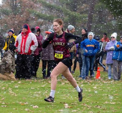 Hawks close season at state meet | Subscriber | apg-wi.com