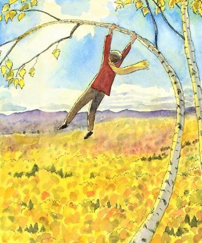 Focus on nature: Swinging from birches | Free | apg-wi.com