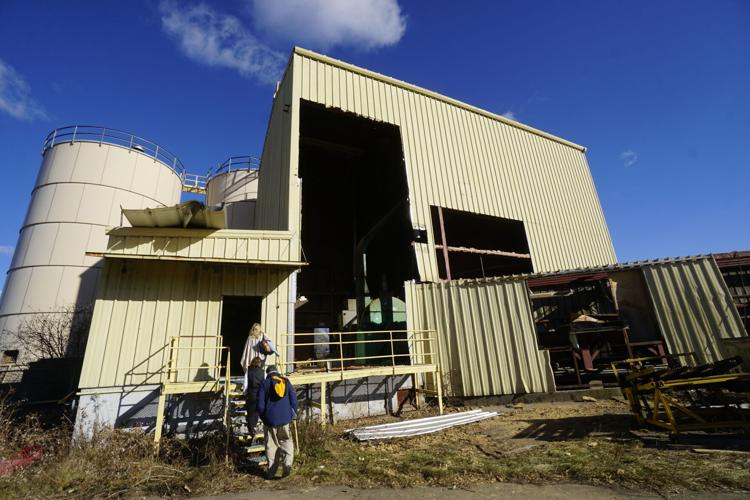 Lionite transformation is getting legs | Price County Review | apg-wi.com