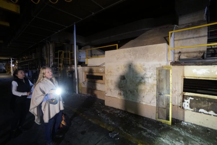 Lionite transformation is getting legs | Price County Review | apg-wi.com