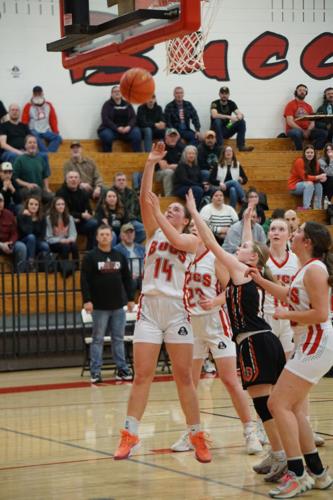 Prentice wins regional opener against Butternut | Price County Review ...